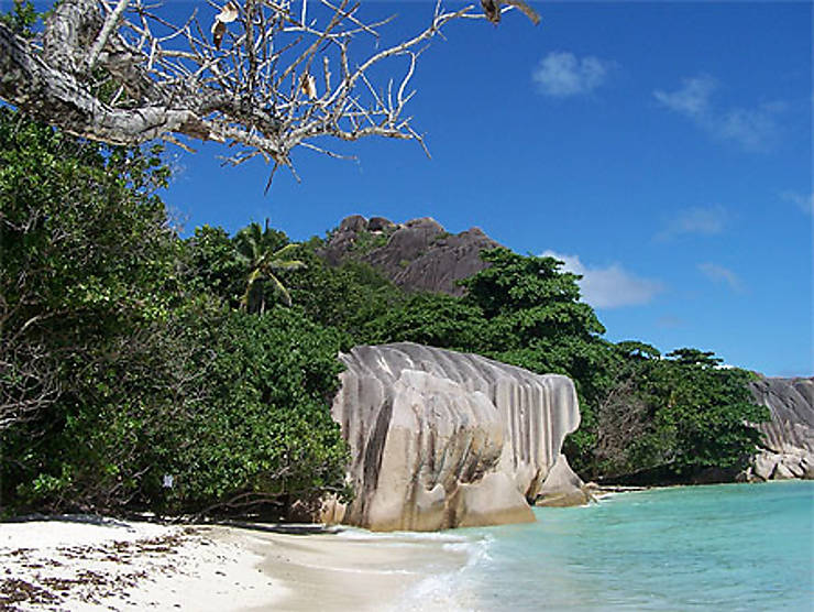 Seychelles | Climat et météo, quand partir | Routard.com