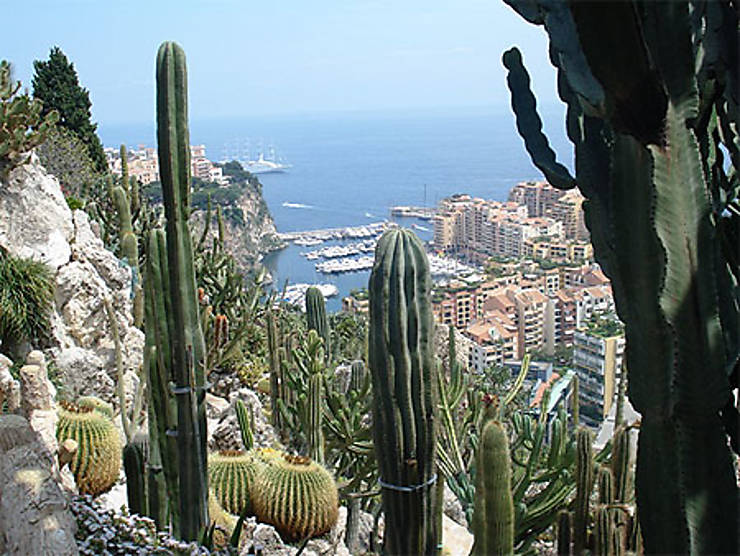 Jardin exotique Monaco : Plantes : Jardin exotique : Le Moneghetti ...