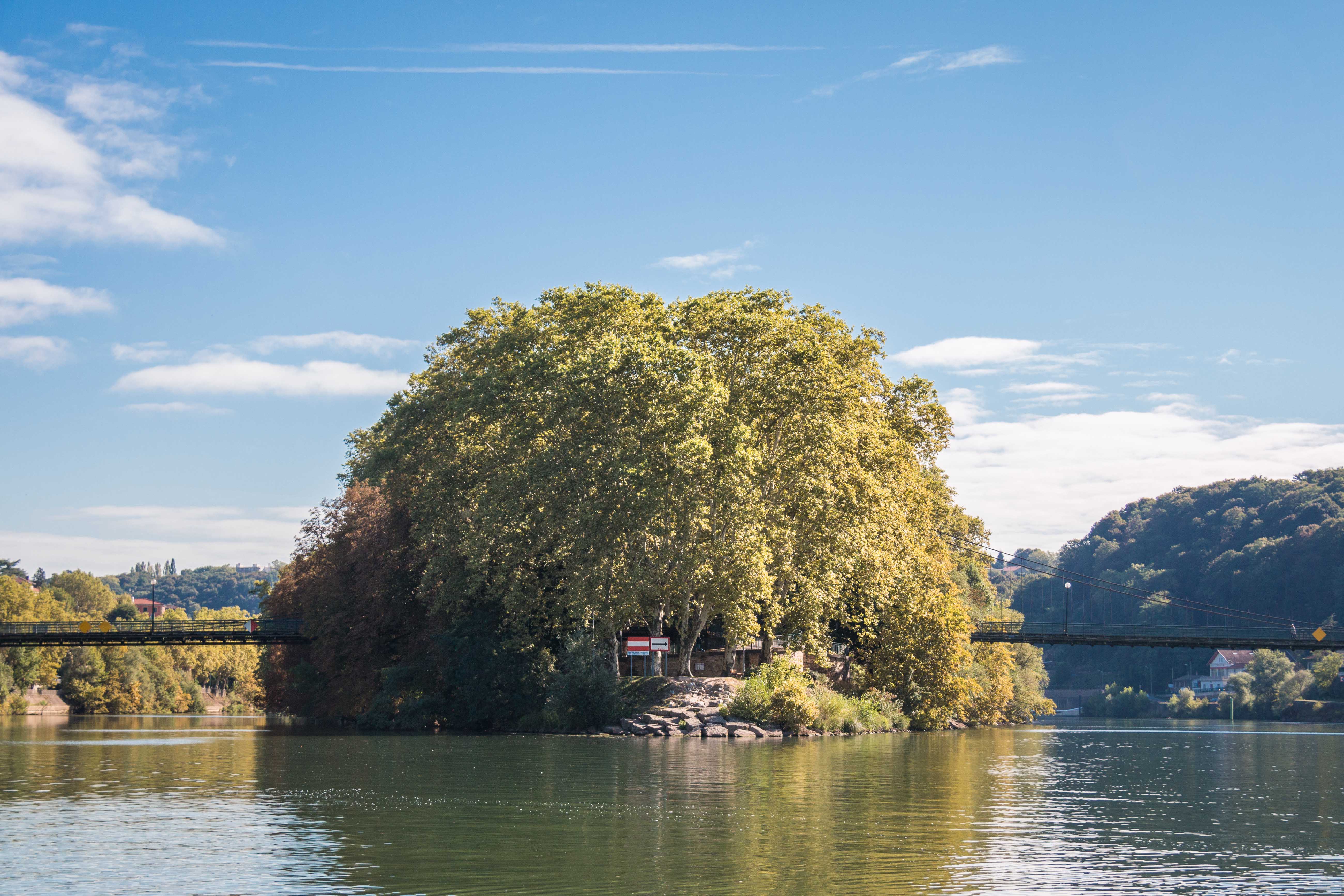 L'Ile Barbe, côté sud, sur la Saône à Lyon : Ponts : Arbres : Lyon ...