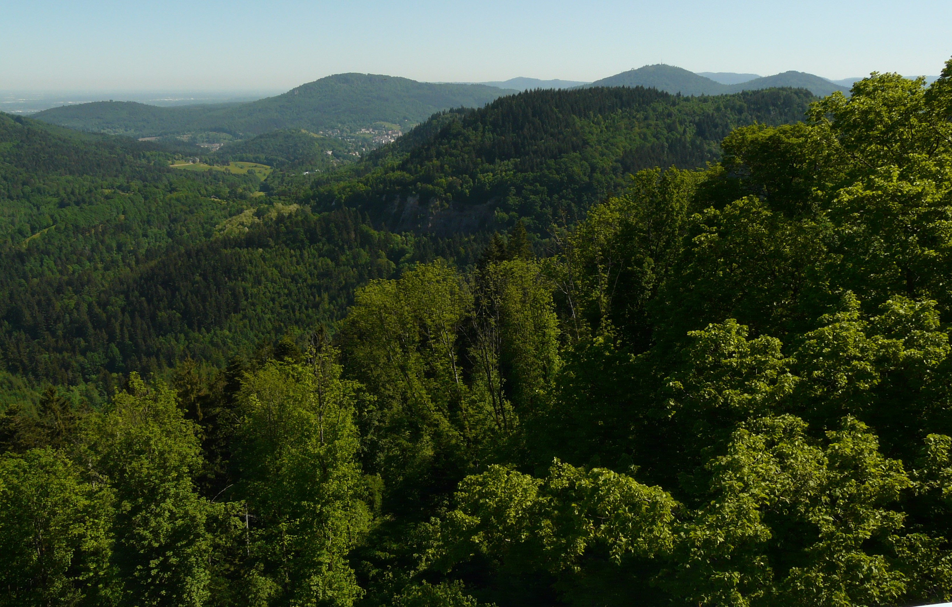 Vue sur la Forêt-Noire, Ebersteinburg : Forêts : Forêt-Noire : Bade ...