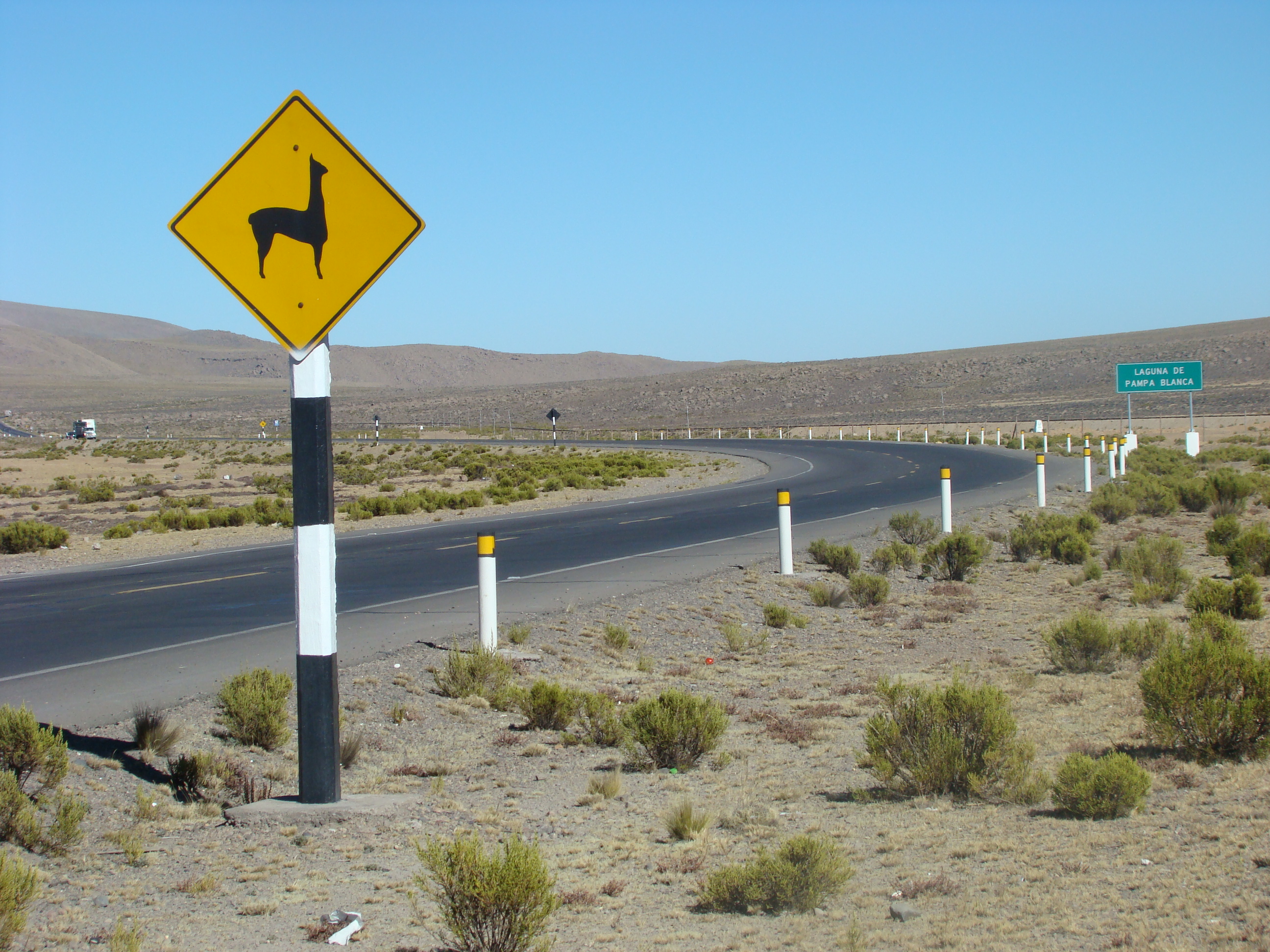 Paysage andin : Insolite : Arequipa et sa région : Pérou : Routard.com