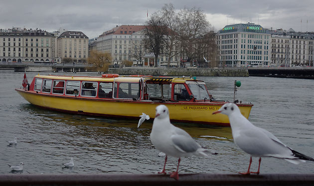 Mouettes, Genève : Bateaux : Transport : Rives du lac Léman : Genève ...