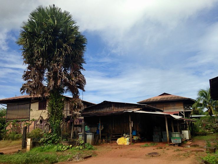 En route pour Cacao, Guyane : Cacao : Parc naturel régional de Guyane ...