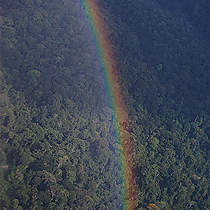 Roura : Roura : Parc naturel régional de Guyane : Guyane : Routard.com