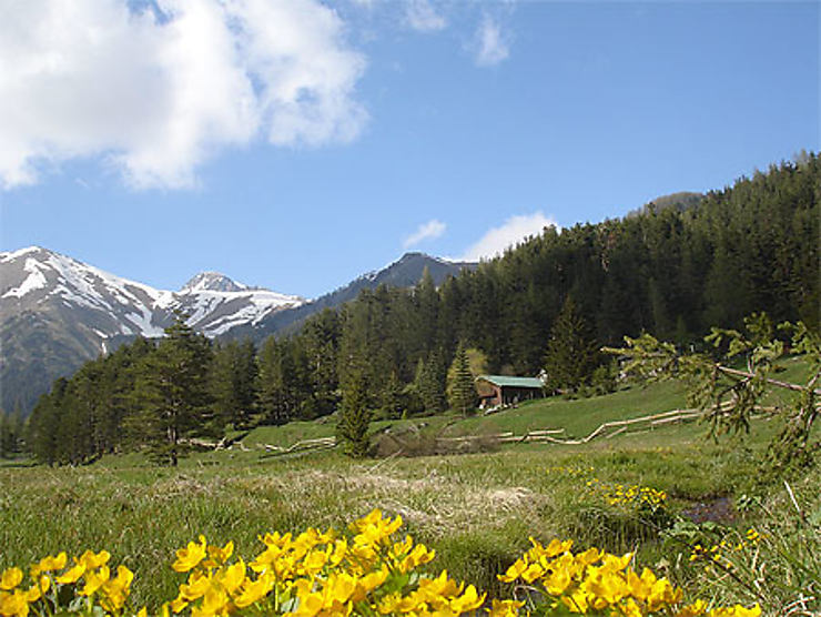Castérino : Parc national du Mercantour : Alpes-de-Haute-Provence ...
