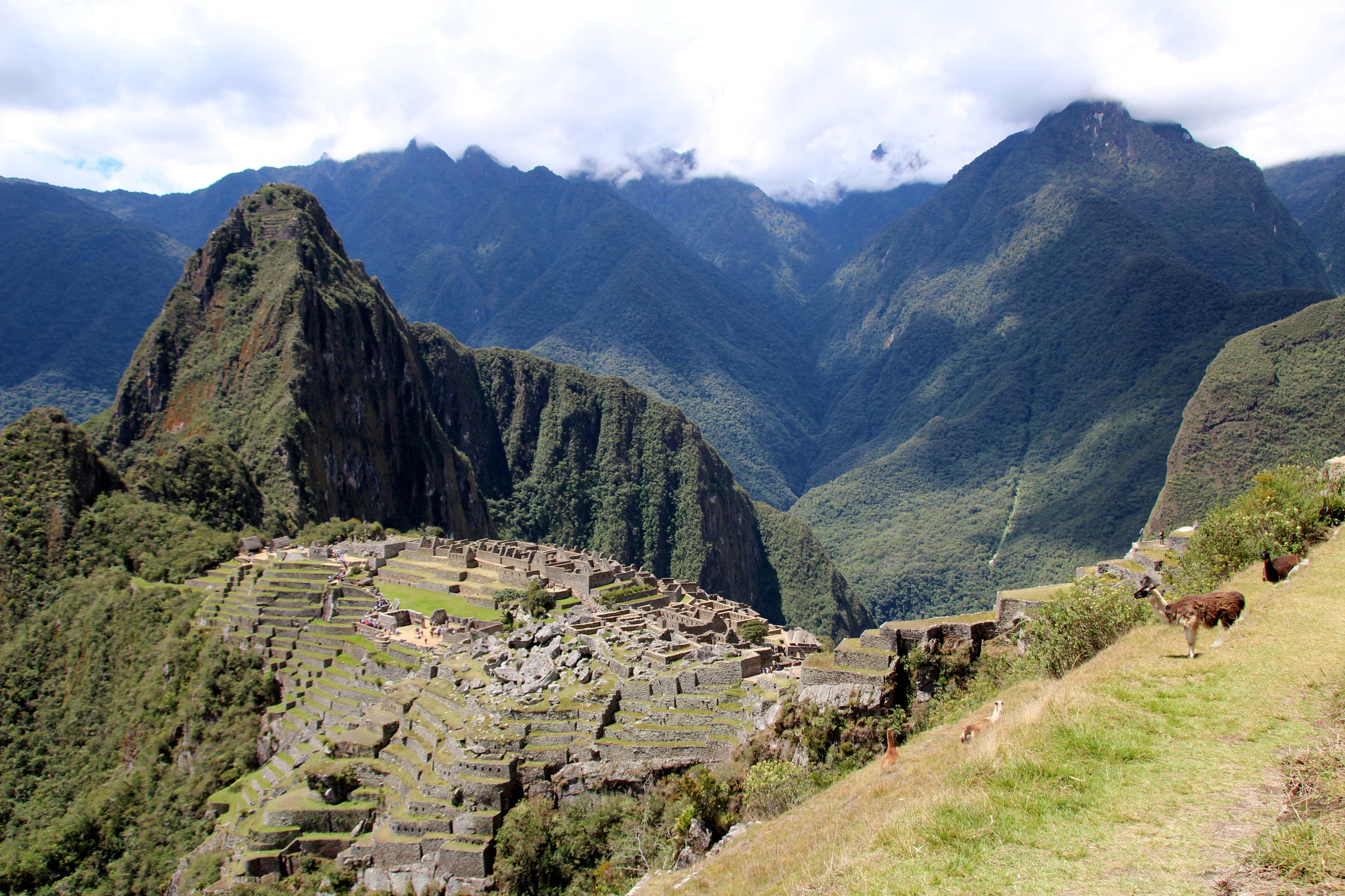 Machu Picchu : Montagne : Machu Picchu : Cuzco et le Pérou inca : Pérou ...
