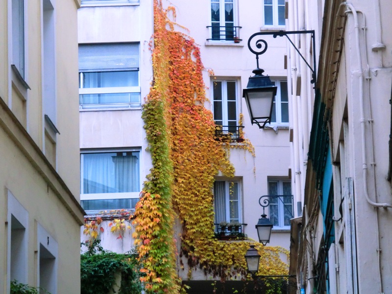 Art street nature ? : 5ème arrondissement : Paris : Routard.com
