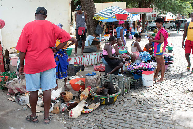 Marché Sucupira : Marchés : Praia : Île de Santiago : Cap-Vert ...