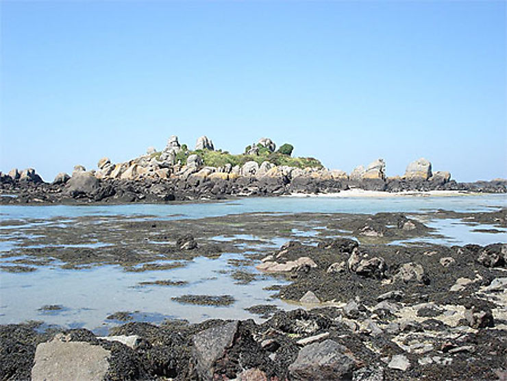 Chausey, un archipel normand ... : Îles Chausey : Manche : Normandie ...