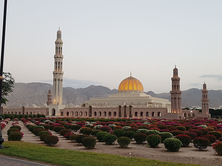Road Trip au Sultanat d'Oman : Forum Oman - Routard.com
