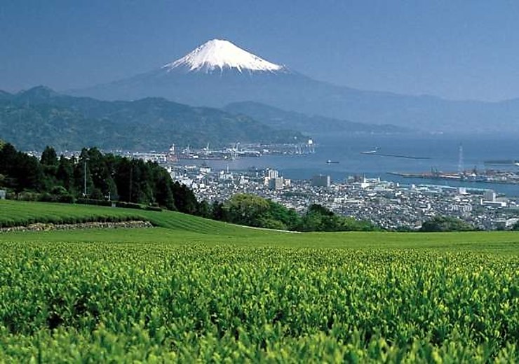 la ville de Shizuoka : thé vert et mont Fuji, entre Tokyo et Kyoto ...